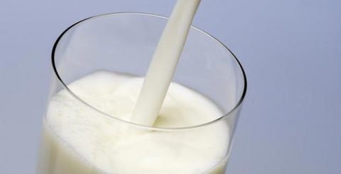 Penggunaan Susu Bubuk untuk Kue dan Roti - PT Lautan Natural Krimerindo
