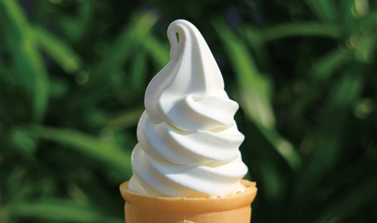 Essential Ingredients in Soft Ice Cream Powder for Commercial Use - PT ...