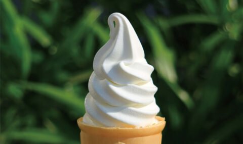 Essential Ingredients in Soft Ice Cream Powder for Commercial Use - PT ...